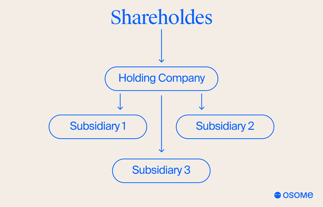 What Is a Holding Company: Meaning, Advantages and Examples